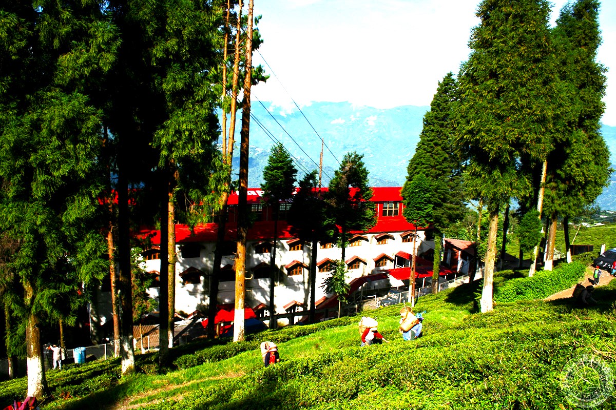 7 Best Places To Visit In Darjeeling; Stay at Cherry's